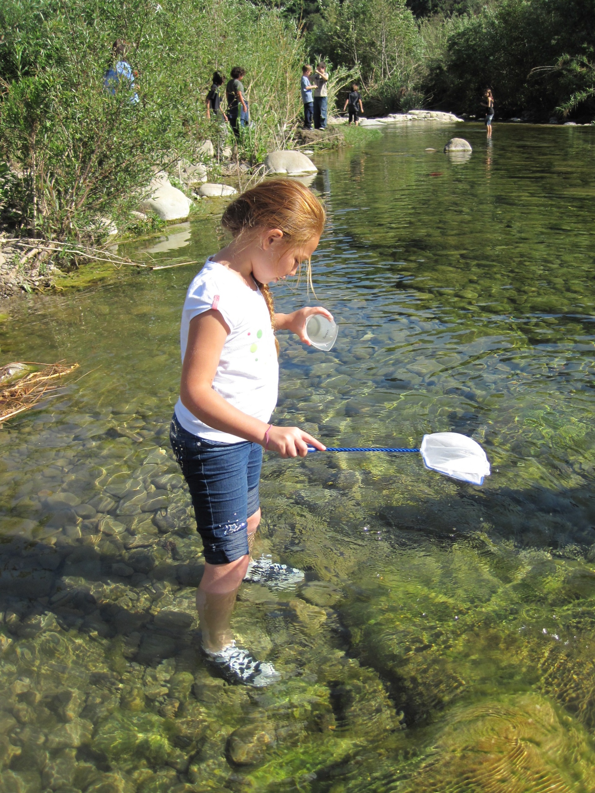 Connecting Kids with Nature to Spark Wonder and Inspire Environmental ...